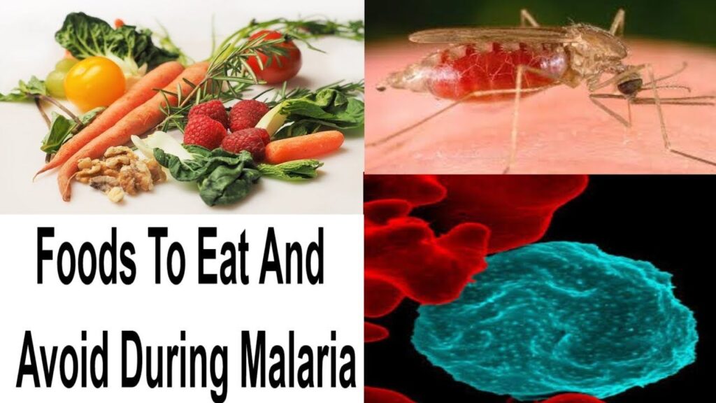 FOODS TO EAT AND FOODS AVOID WHILE TREATING MALARIA - Health GadgetsNG