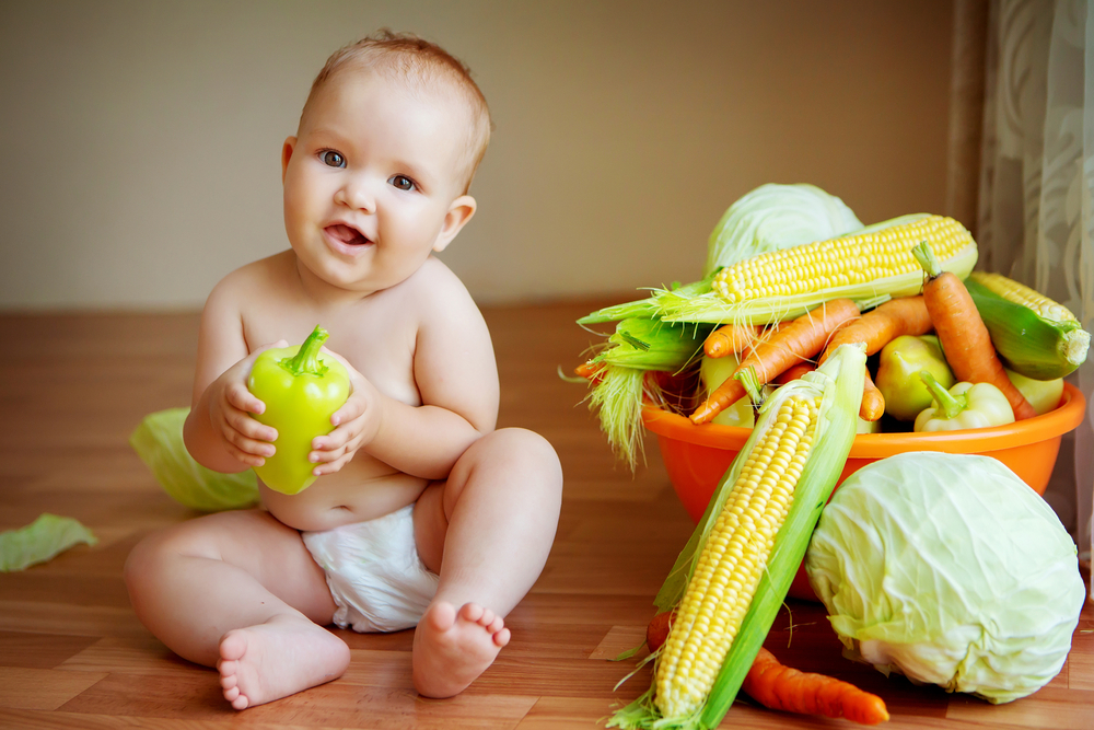 The Organic’s Best Shop Baby Food You Must Buy - Health GadgetsNG